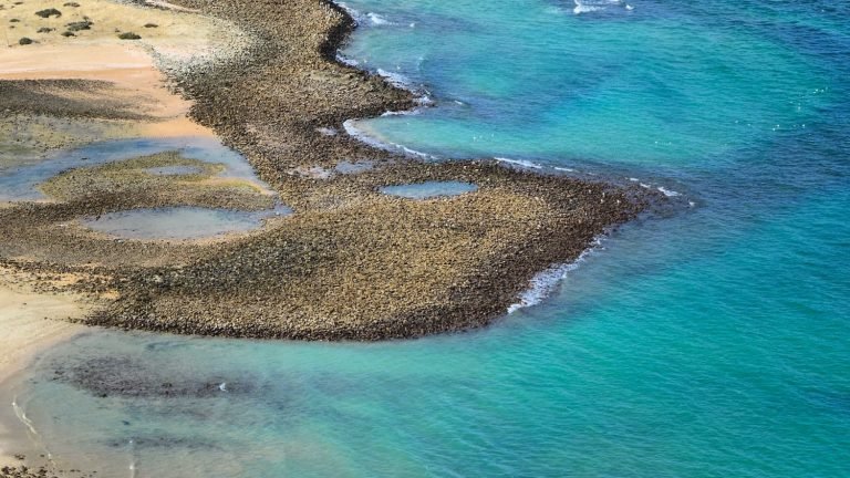 Astola Island Balochistan - Pasni - Pakistan Travel Guide