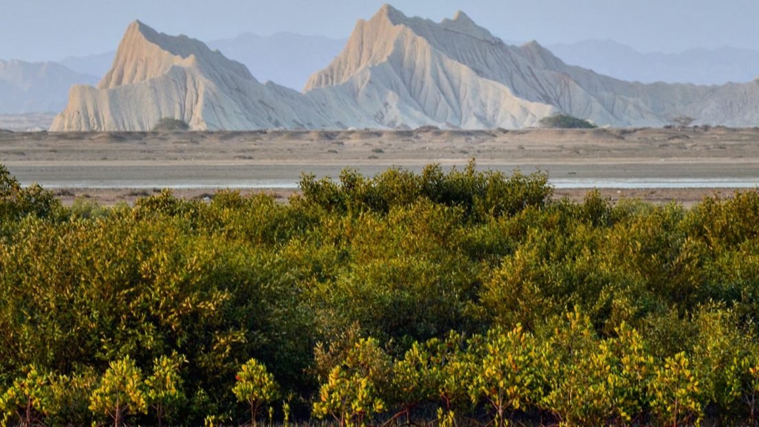 Astola Island Balochistan - Pasni - Pakistan Travel Guide