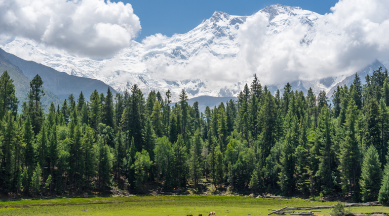 Fairy Meadows Gilgit Baltistan - Pakistan Travel Guide