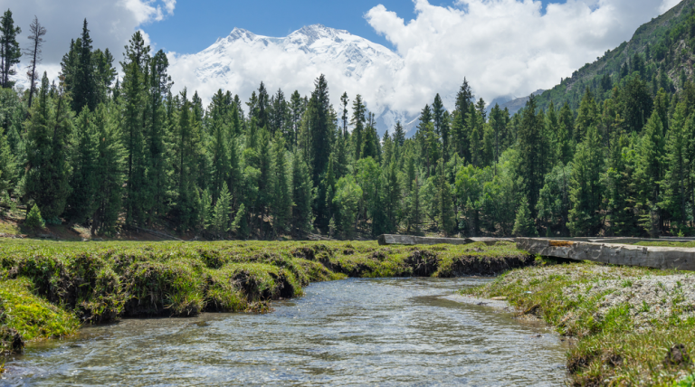 Fairy Meadows Gilgit Baltistan - Pakistan Travel Guide