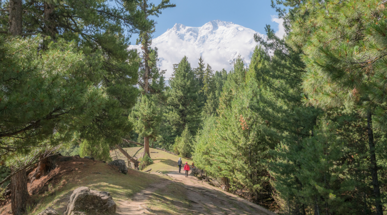 Fairy Meadows Gilgit Baltistan - Pakistan Travel Guide