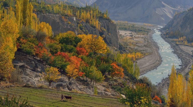 Hunza Valley - Pakistan Travel Guide