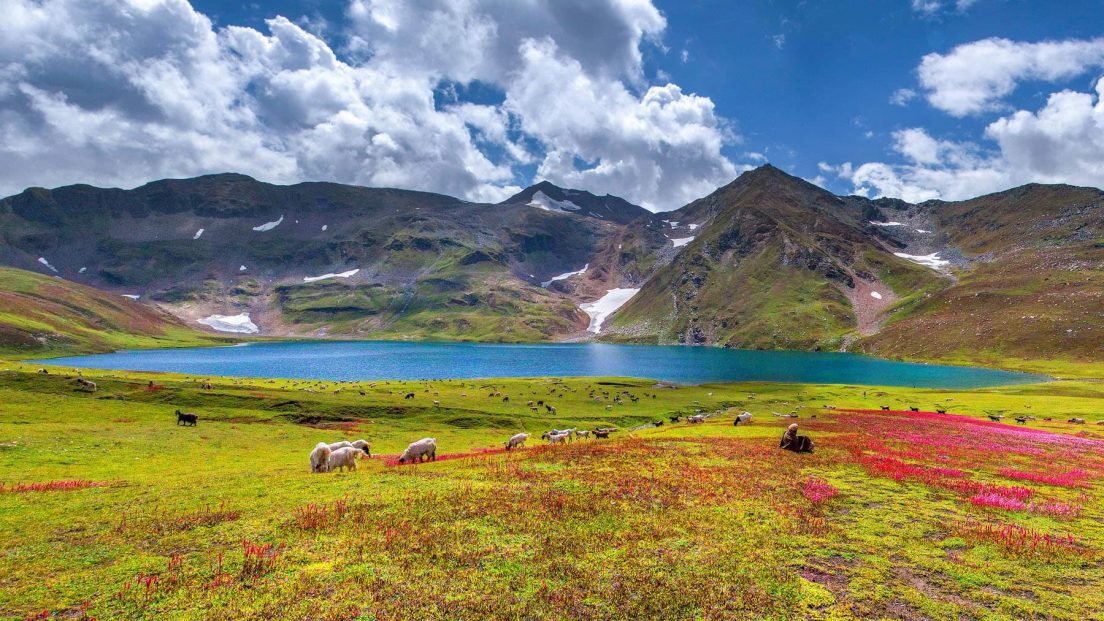 Chitral Gol National Park - KPK - Pakistan Travel Guide